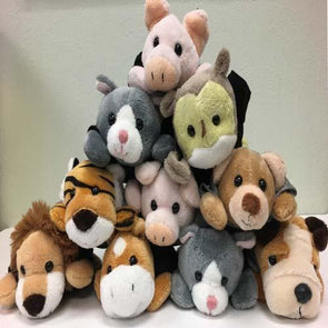 Novelties – Idaho Falls Chukars Official Store